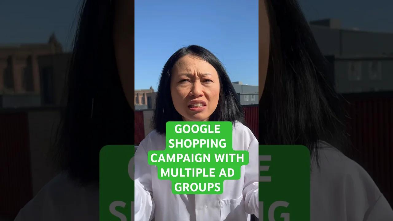 Google Shopping ad campaign with multiple ad groups - why is it ...