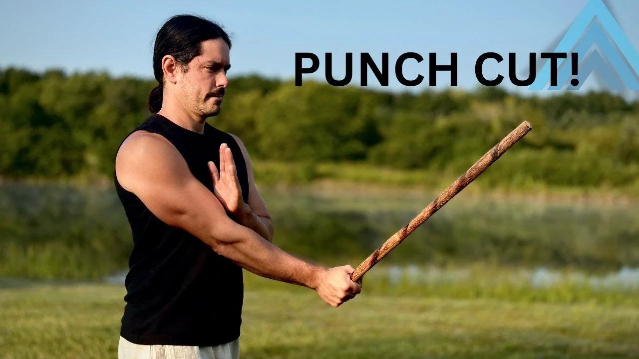 KALI PUNCH CUT Technique and Drill (Filipino Martial Arts)