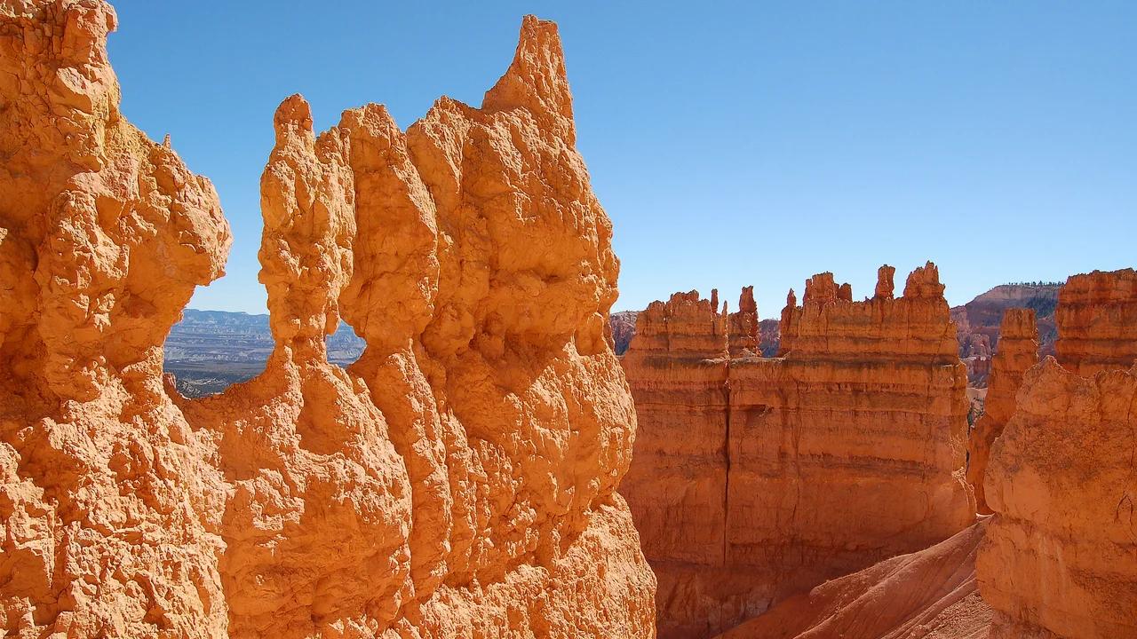 Rambling talking about joe Rogan and sports